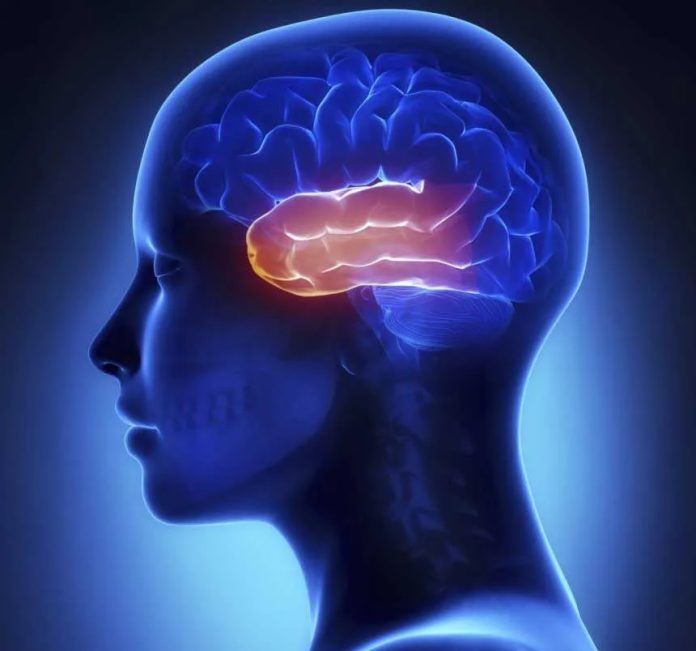 Causes of Damage to the Right Posterior Frontal Lobe - EsHealthTips